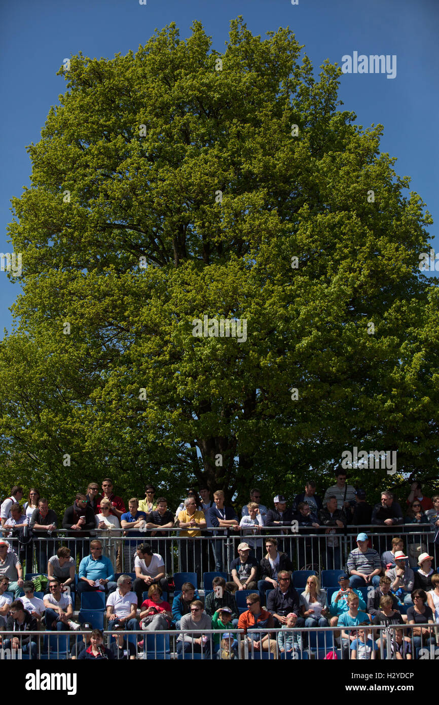 People near tree watching an event Stock Photo - Alamy