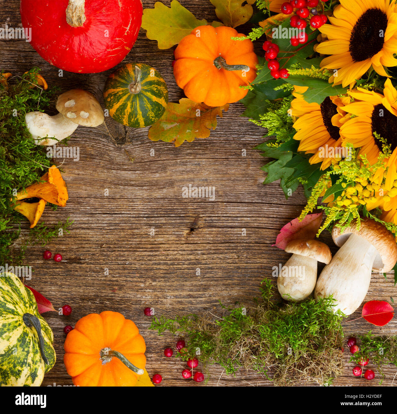 Fall flat lay frame Stock Photo - Alamy