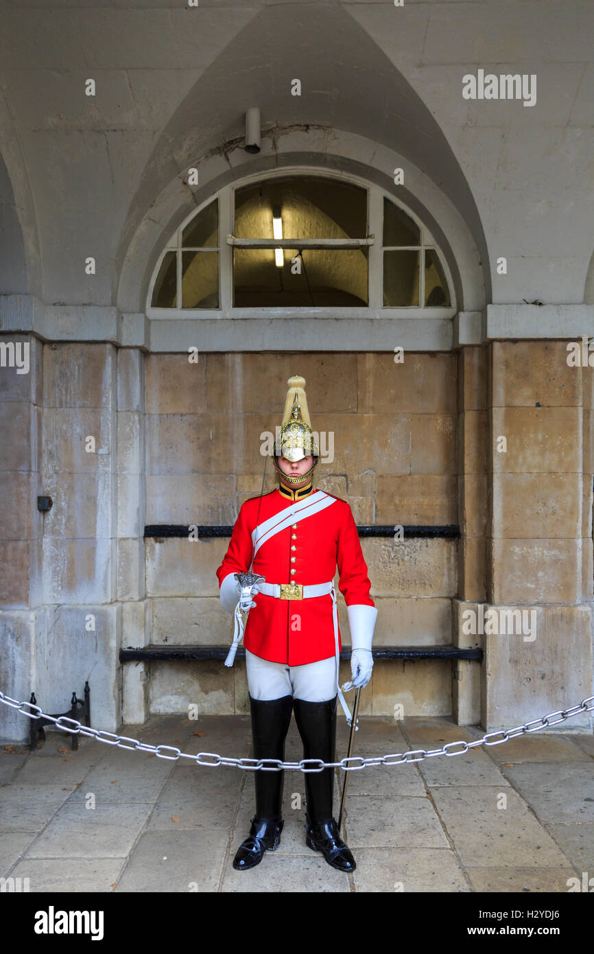 Soldier of the Queen's Guards, household division, standing in front of ...