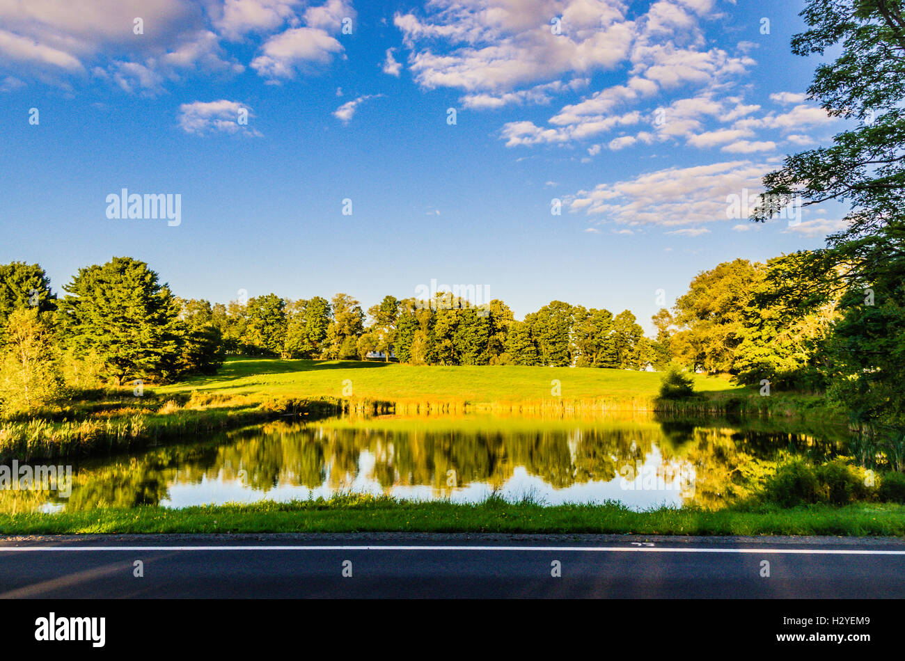 Lake water reflection trees hi-res stock photography and images - Alamy