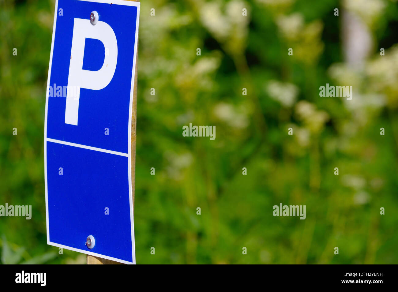 a blue parking sign with a big P on it on green background Stock Photo ...