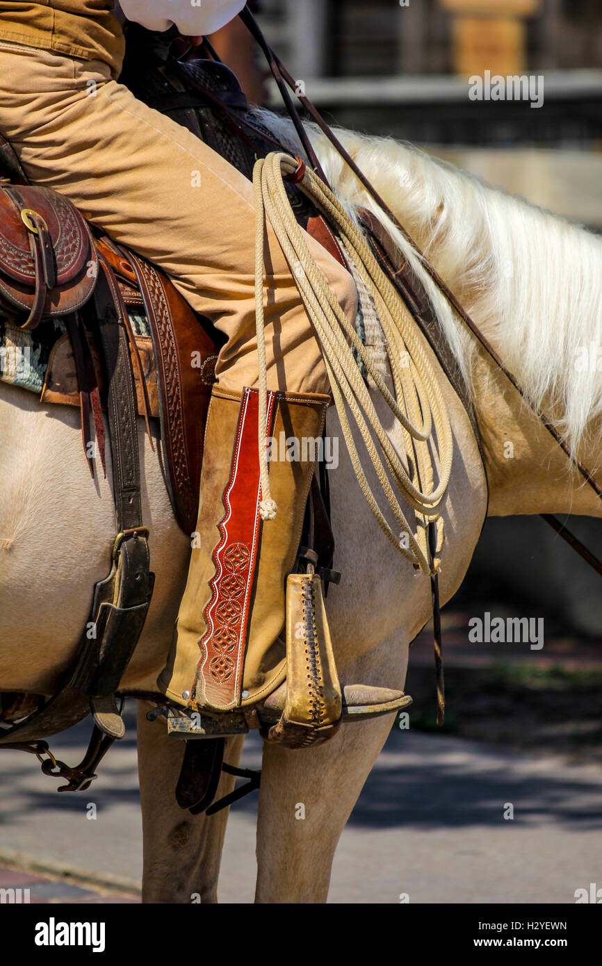Real cowboy riding horse at cattle roundup Stock Photo - Alamy