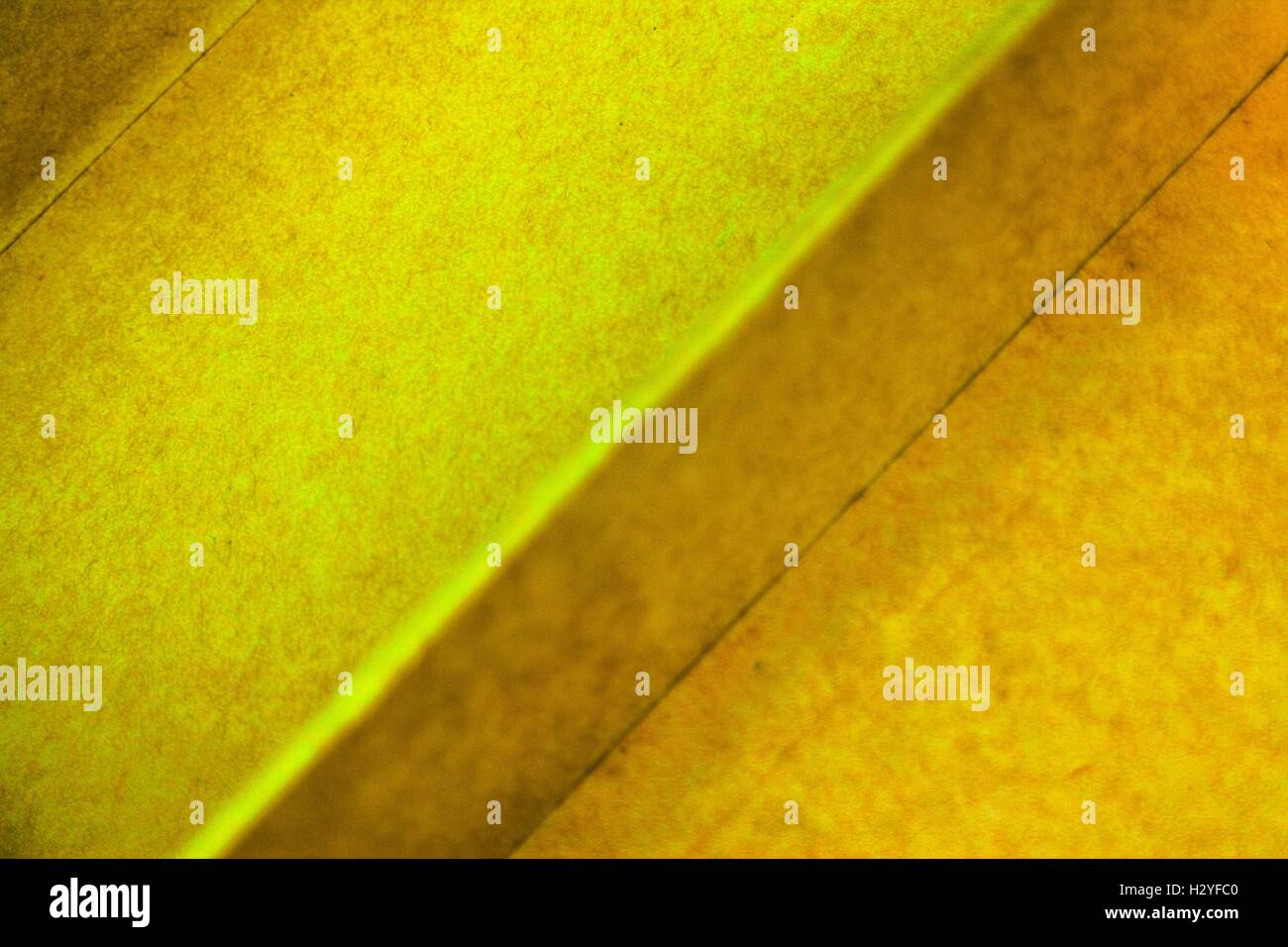 Inside of gold cardboard box Stock Photo - Alamy