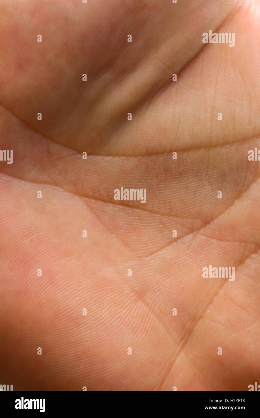 Palmistry hi-res stock photography and images - Alamy