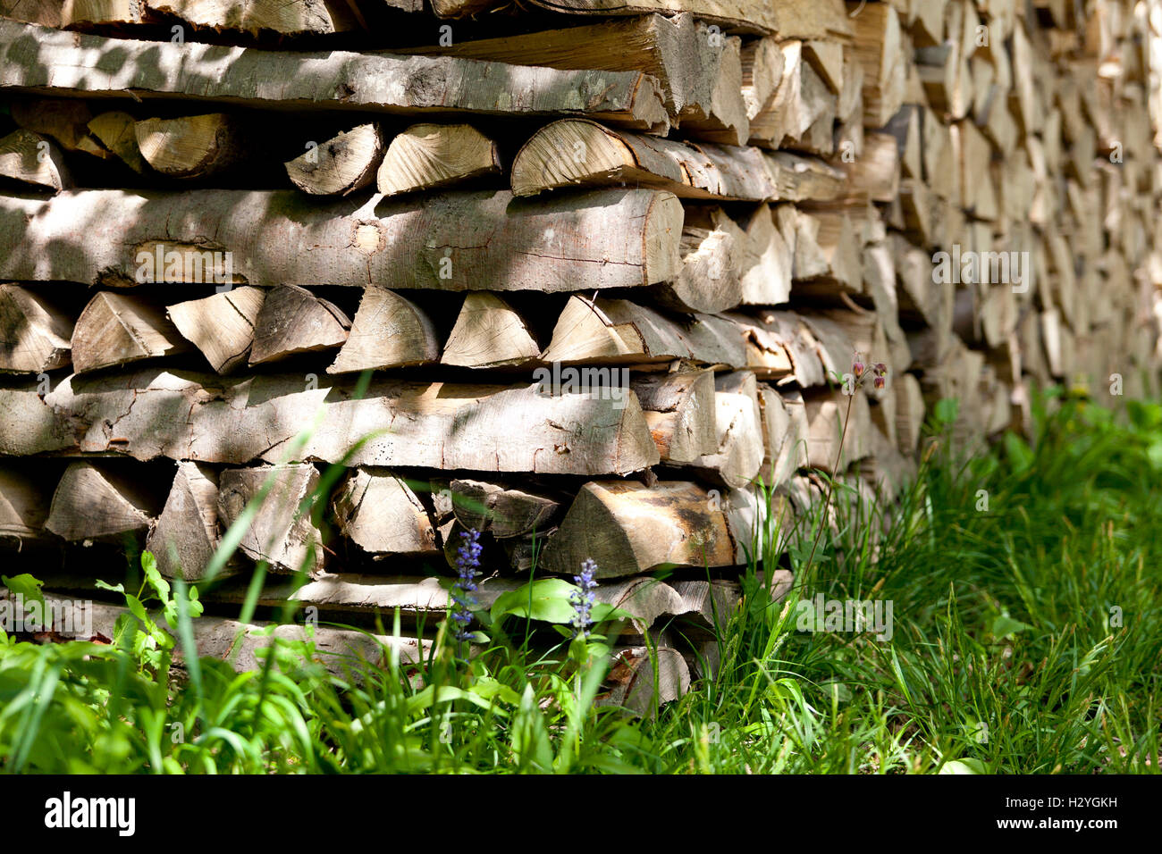 Stack of firewood Stock Photo - Alamy