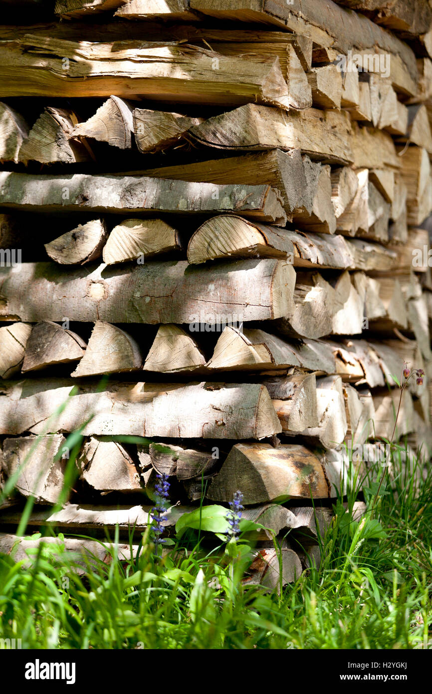 Stack of firewood Stock Photo - Alamy