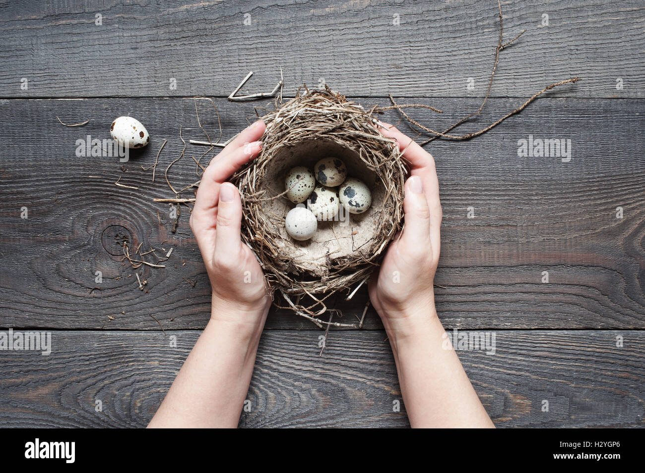 Old womans nest hi-res stock photography and images - Alamy