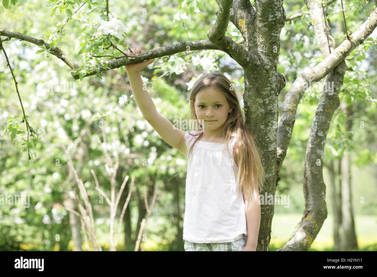 Girl standing under a tree Stock Photo - Alamy
