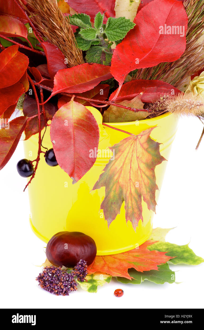 Overlapping autumn leaves hi-res stock photography and images - Alamy
