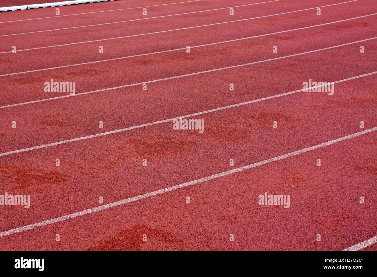 Long distance running stadium hi-res stock photography and images - Alamy