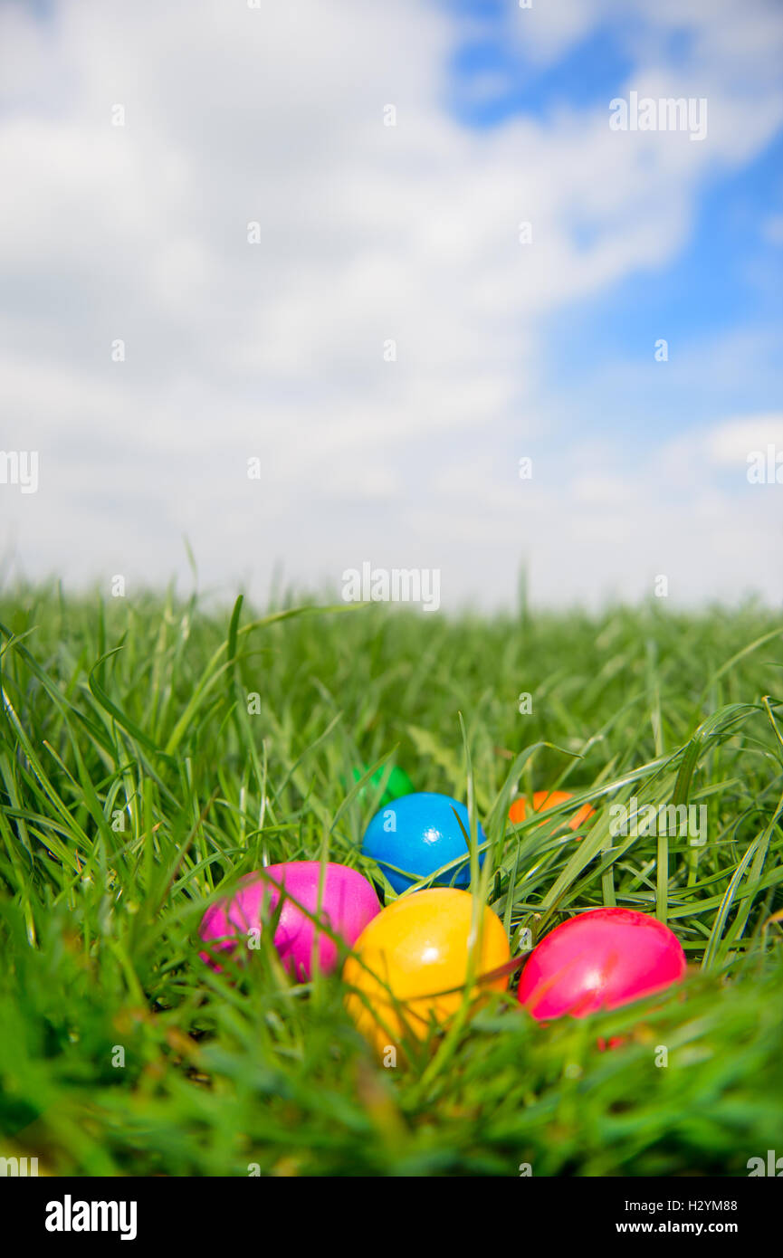 Easter eggs in grass Stock Photo - Alamy