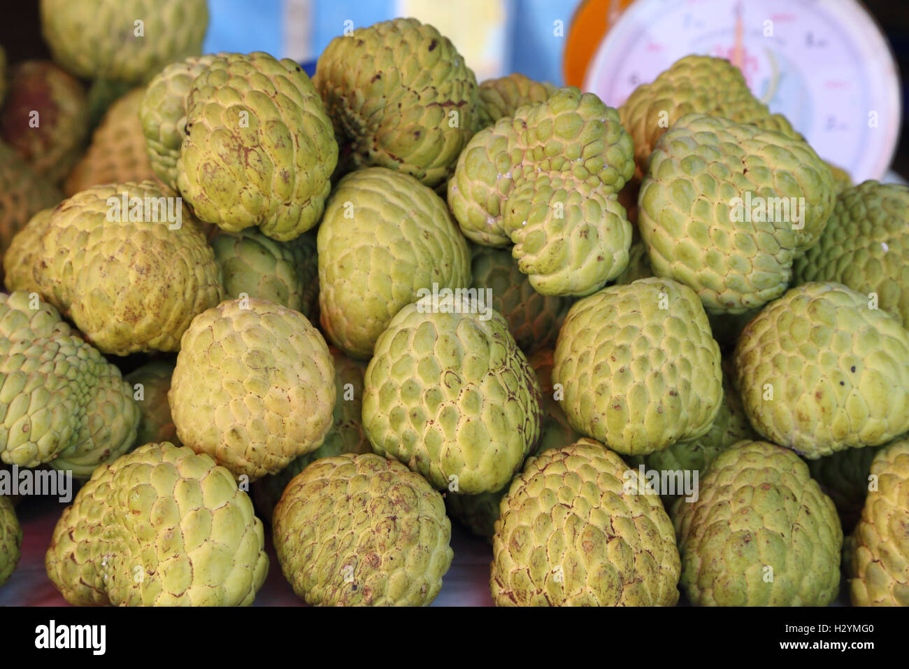 Noina fruit hi-res stock photography and images - Alamy
