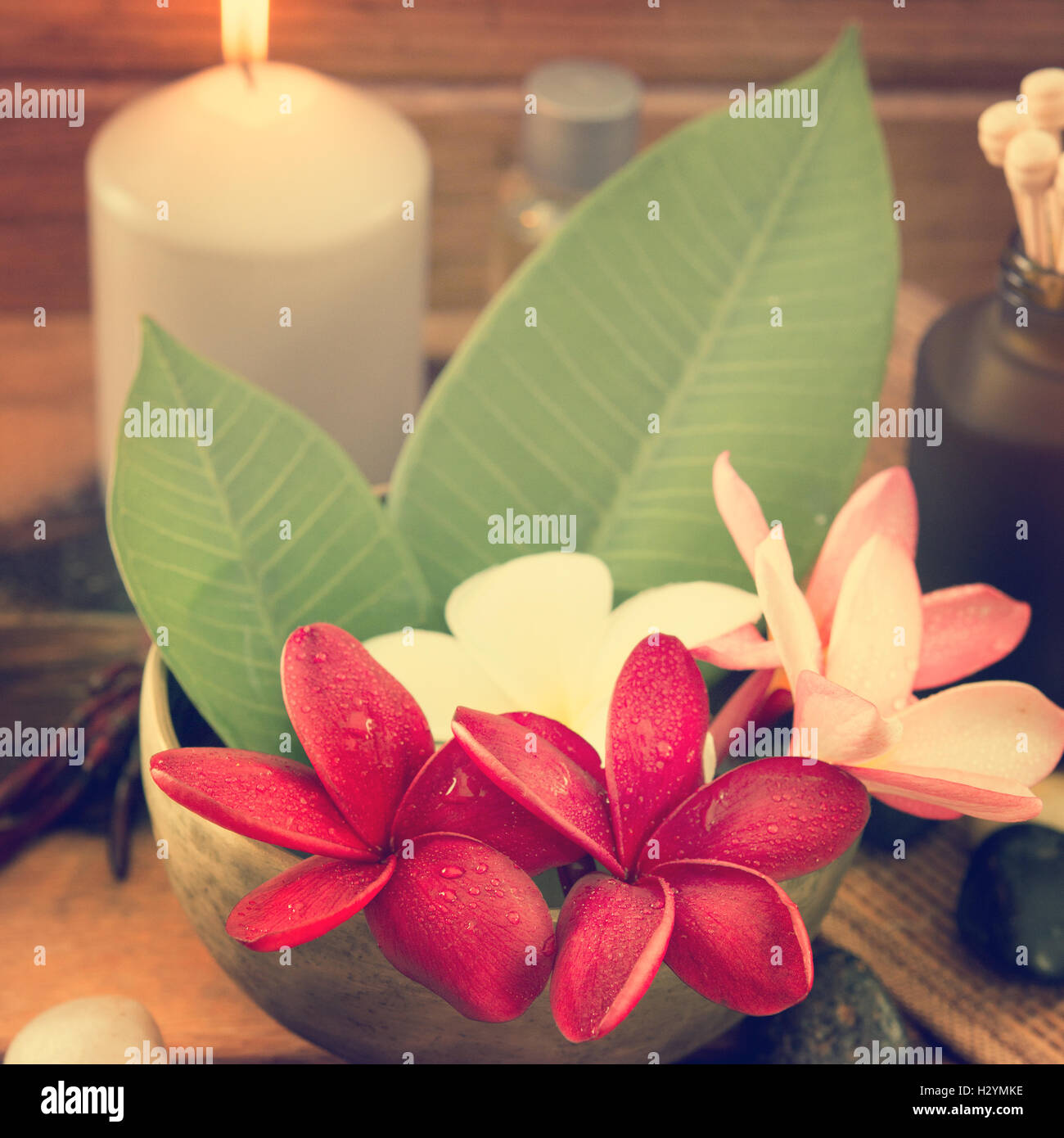 Tropical spa with Frangipani flowers Stock Photo - Alamy