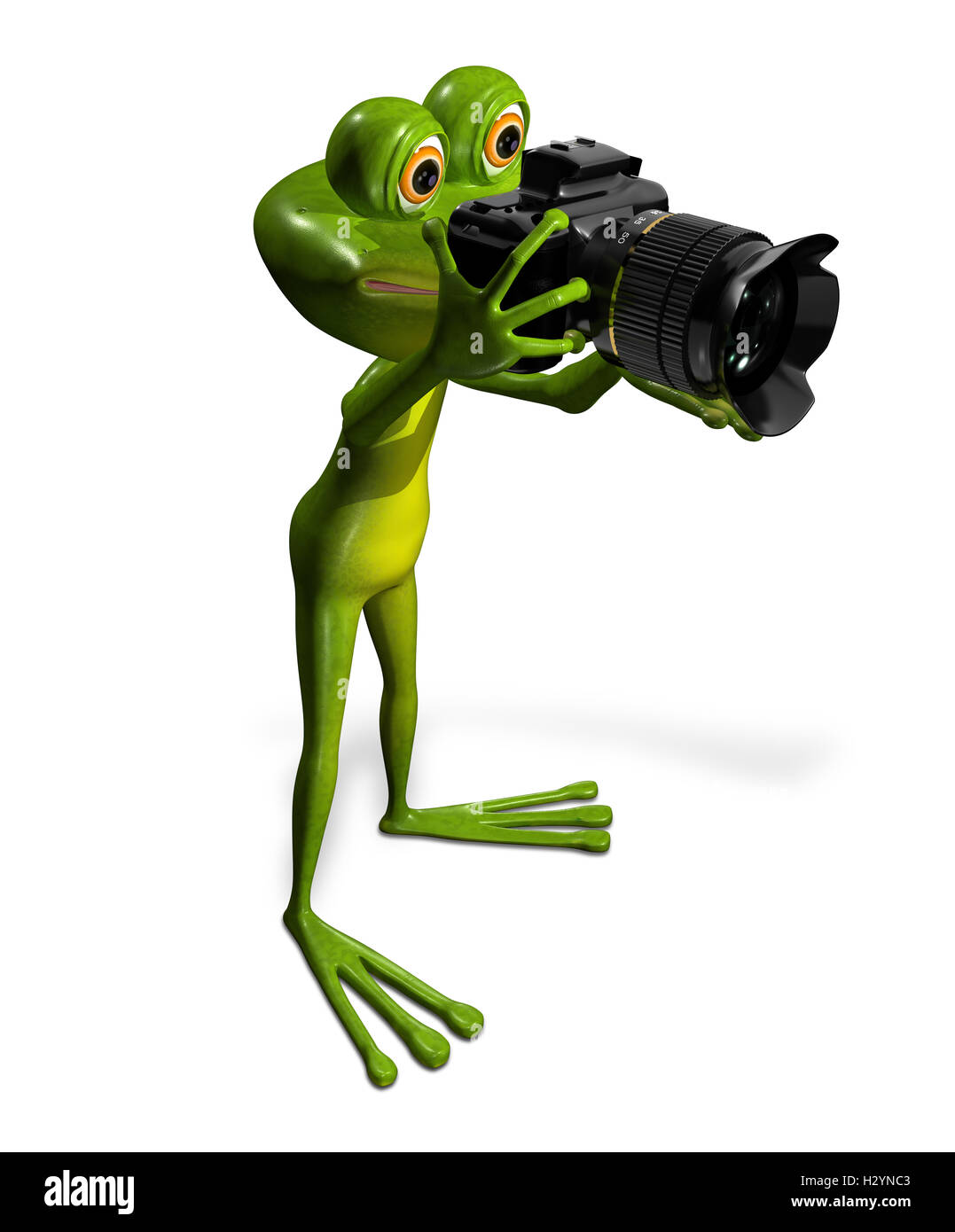 Frog with a camera Stock Photo - Alamy