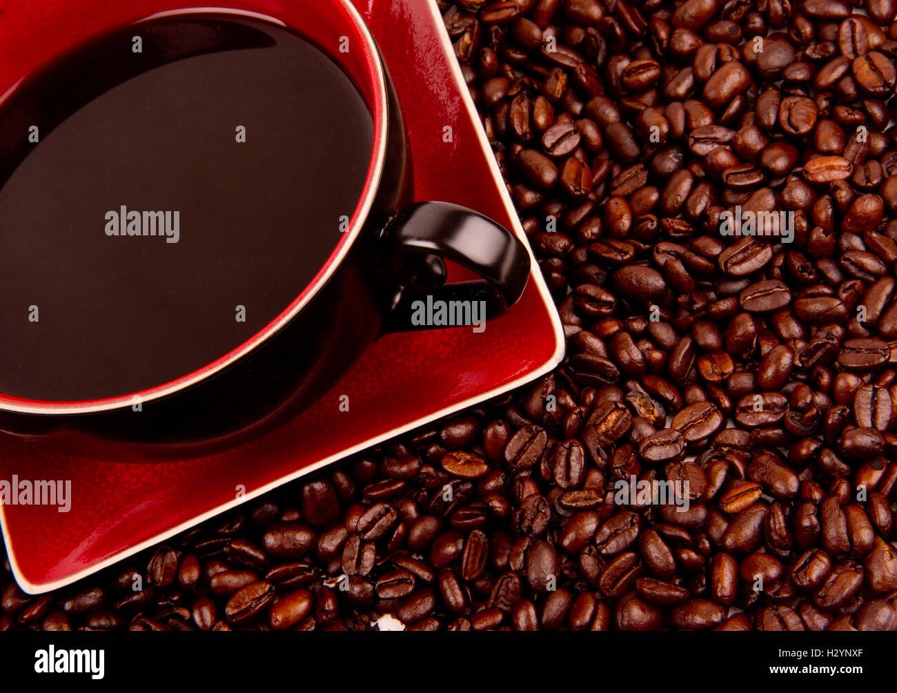 Java in Cup and Saucer Sitting in Coffee Beans Stock Photo - Alamy