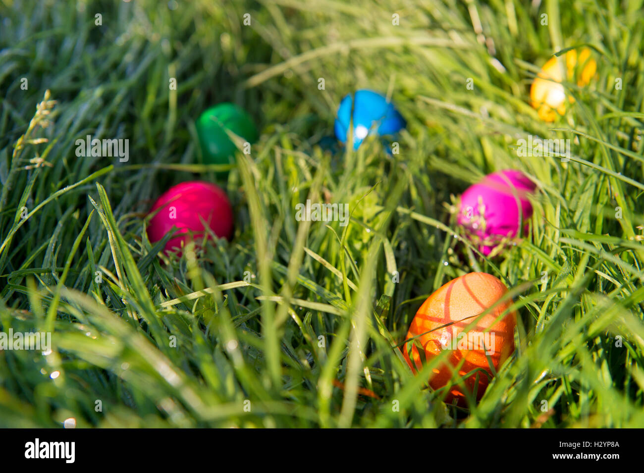 Easter eggs in grass Stock Photo - Alamy