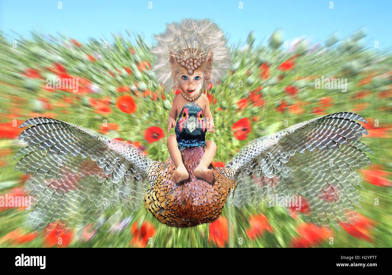 Pixy hi-res stock photography and images - Alamy