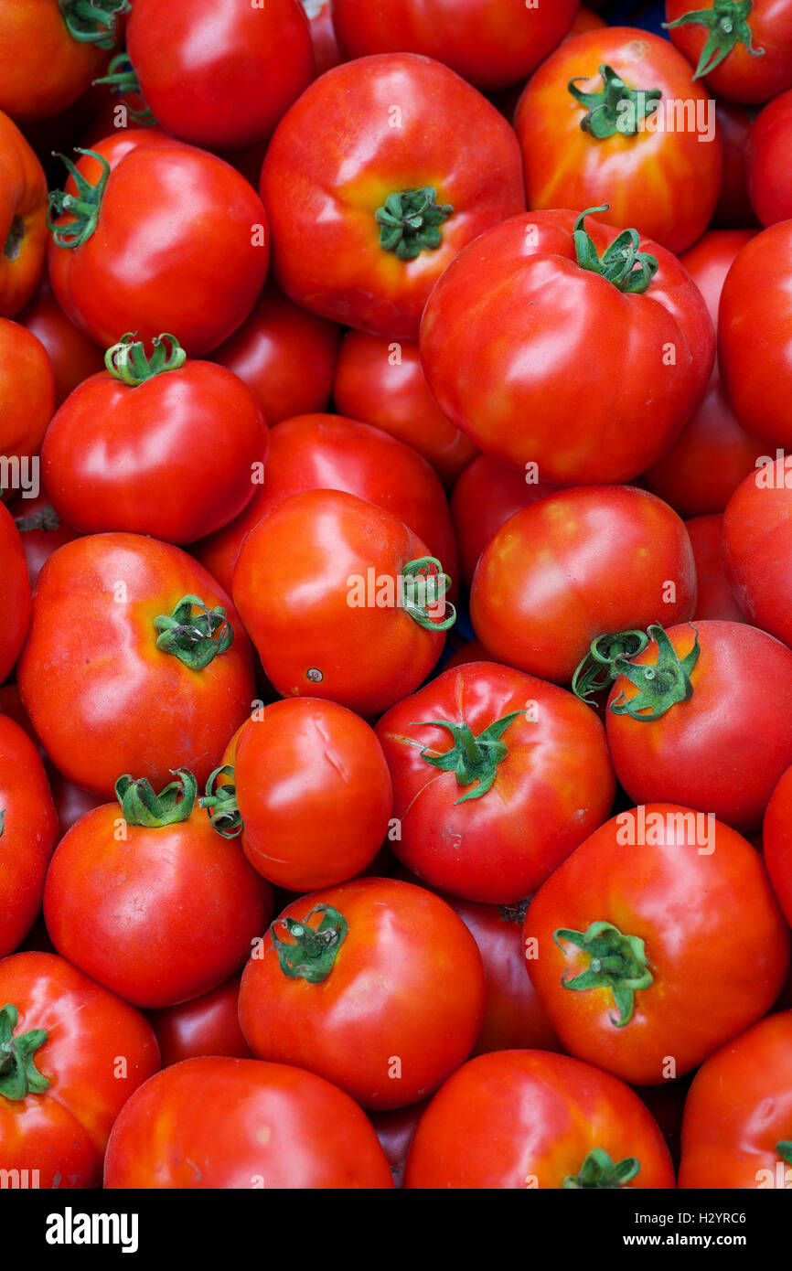 Pile of tomatoes Stock Photo - Alamy