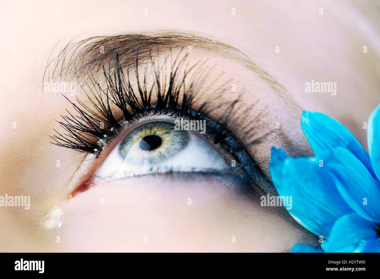 the eye closeup Stock Photo - Alamy