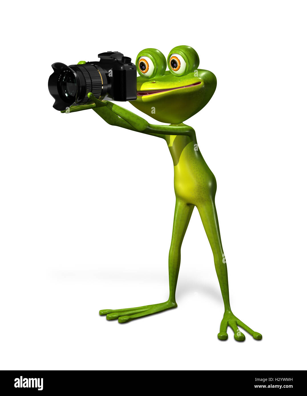 Frog with a camera Stock Photo - Alamy