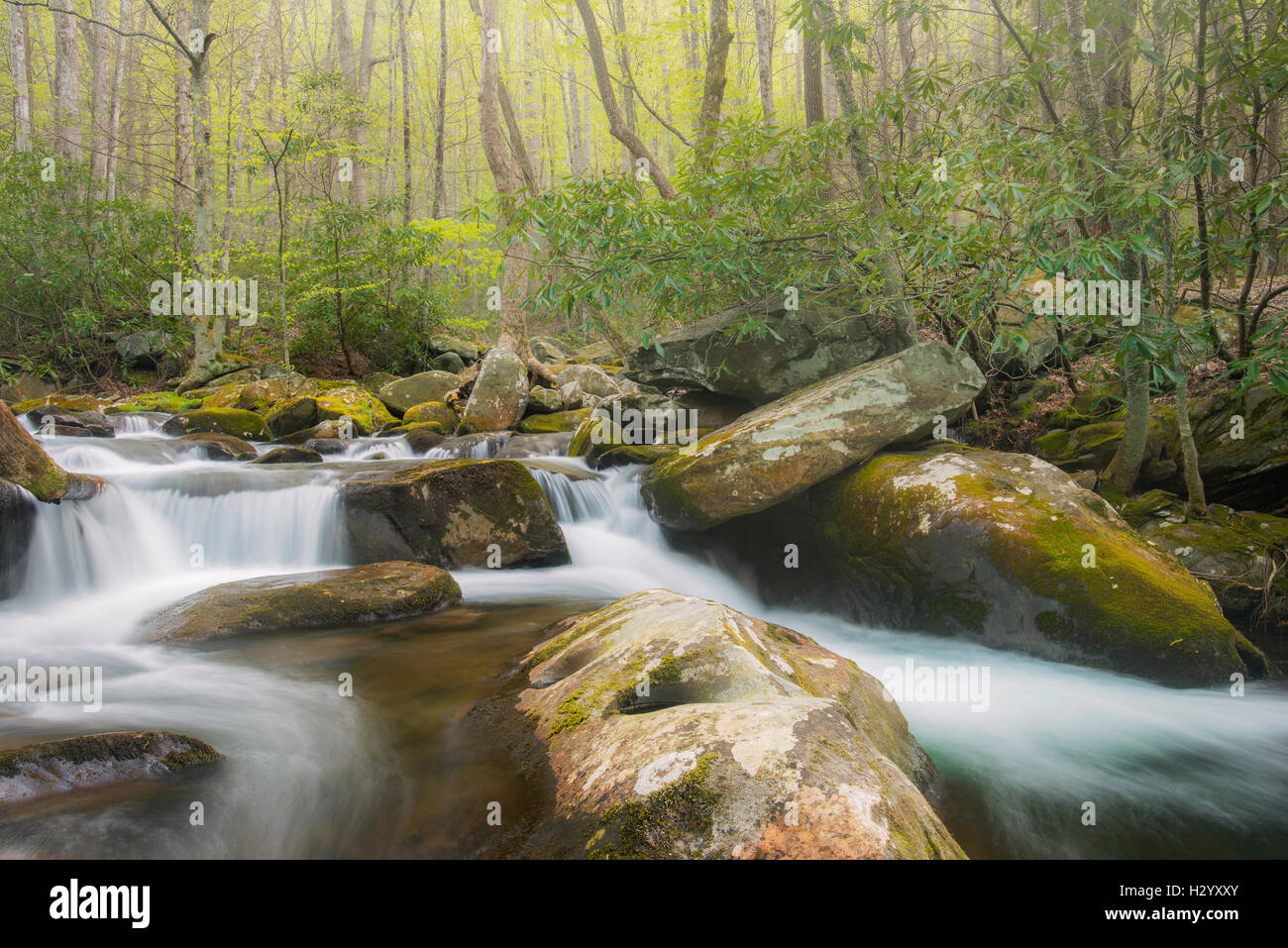 Appalachian mountains river hi-res stock photography and images - Alamy