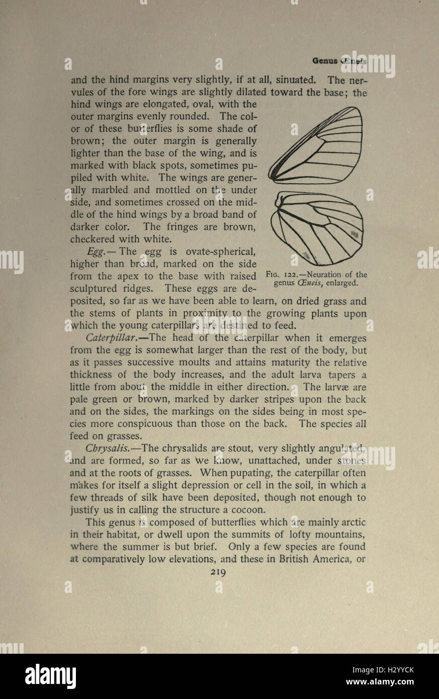 'The Butterfly Book' is a guide to identifying and understanding ...