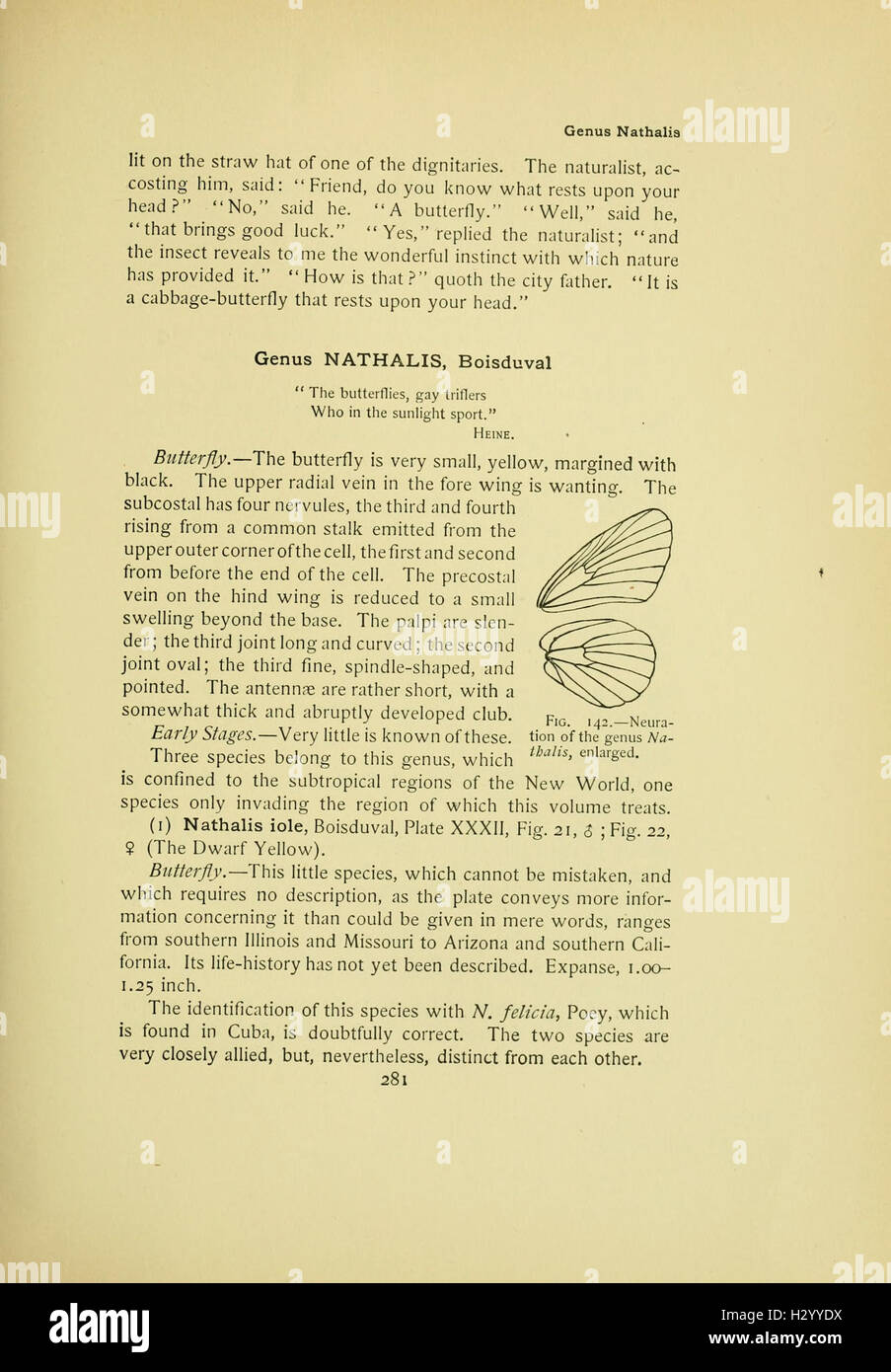 An illustrated book focusing on butterflies, with descriptions of ...