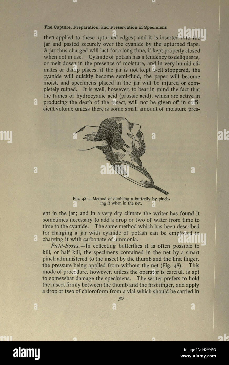 This book offers a comprehensive guide to butterflies, including their ...