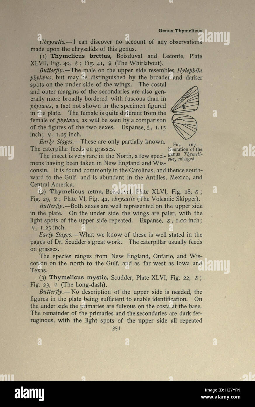 A detailed guide to butterfly species, focusing on identification ...