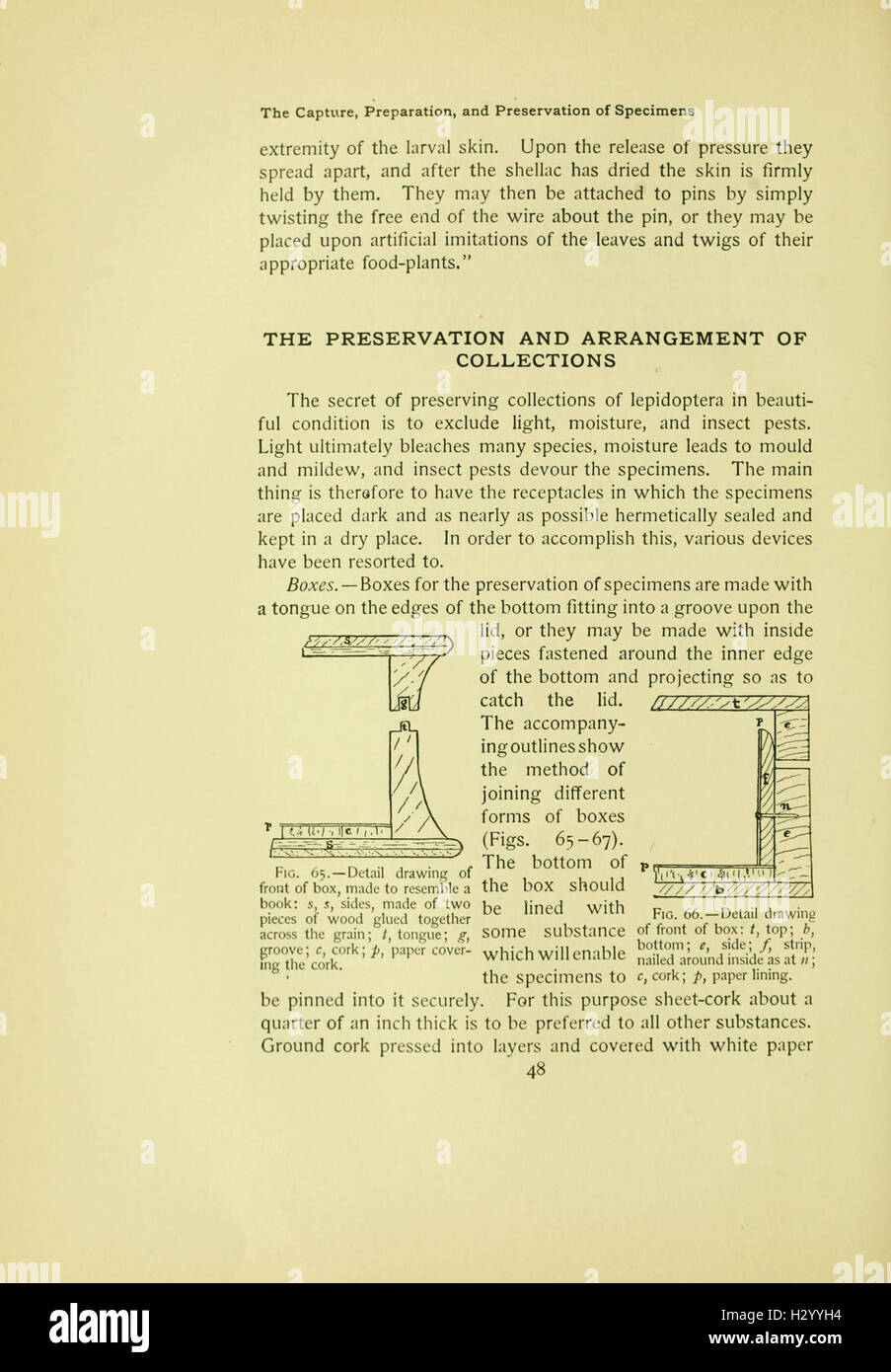 This page from 'The Butterfly Book' provides detailed illustrations and ...