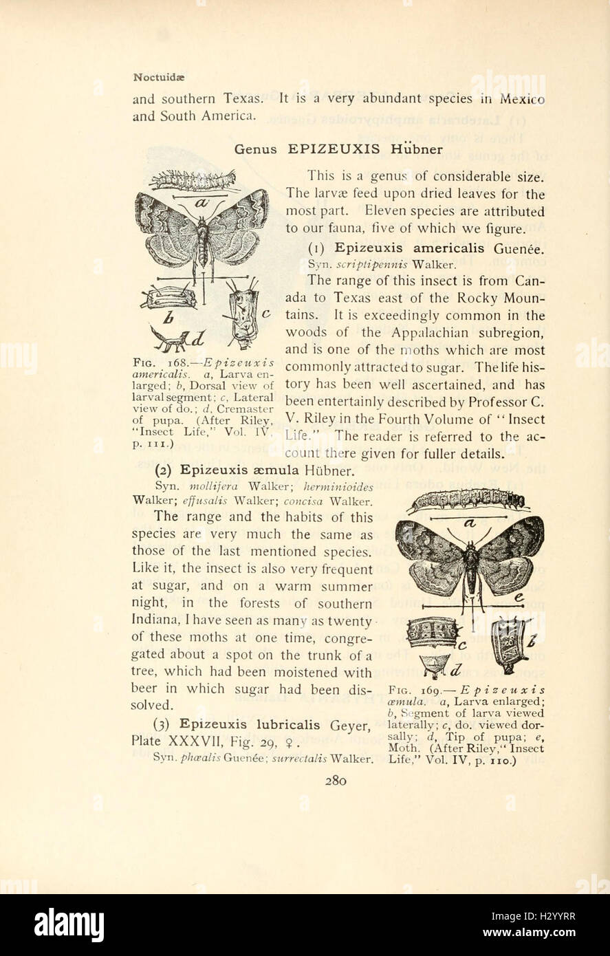 This book provides a detailed guide to various butterfly species ...