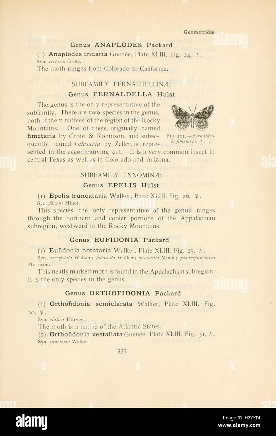 A comprehensive guide to butterfly species, featuring detailed ...