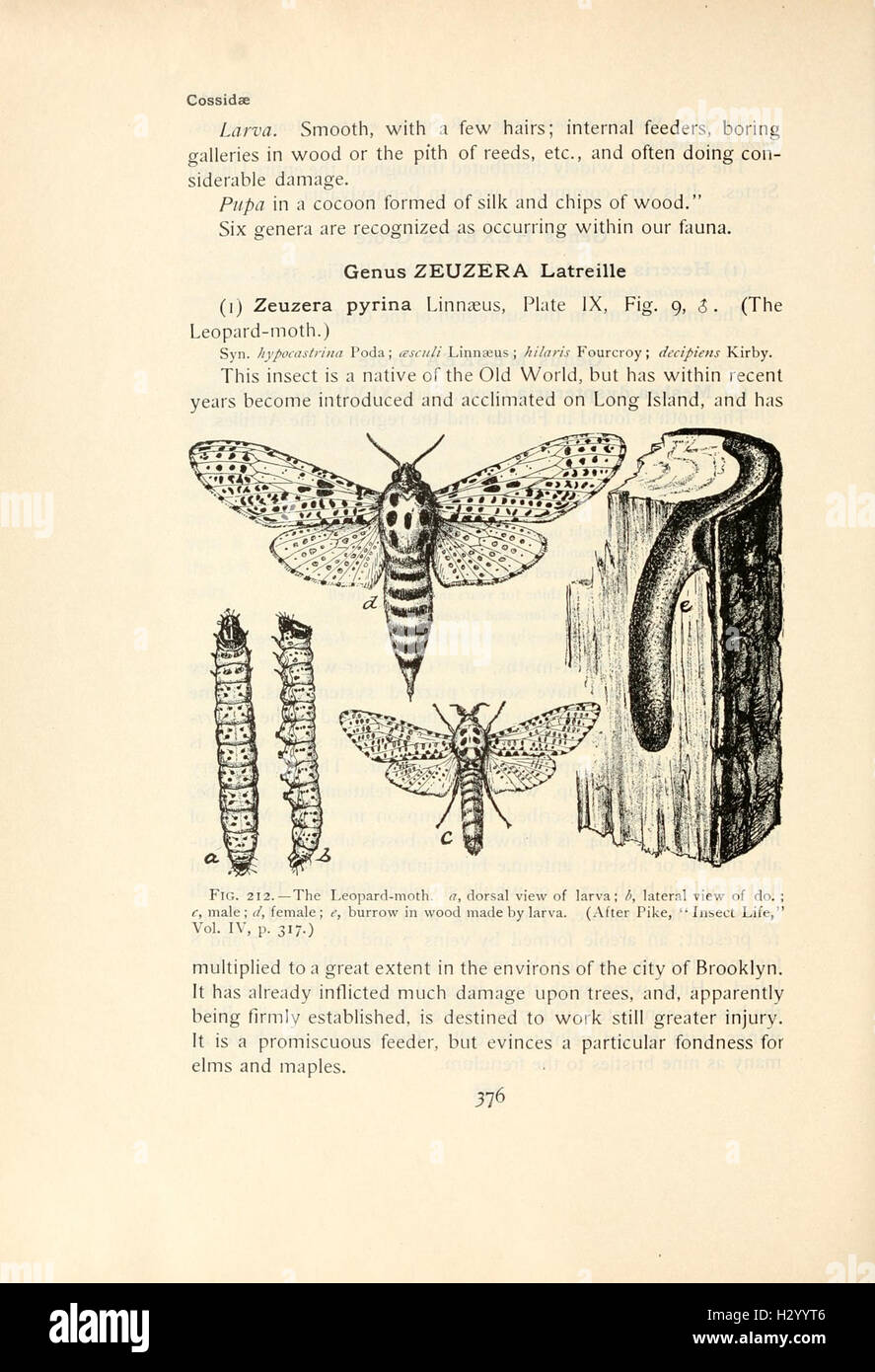 This book provides a detailed guide to the identification and ...