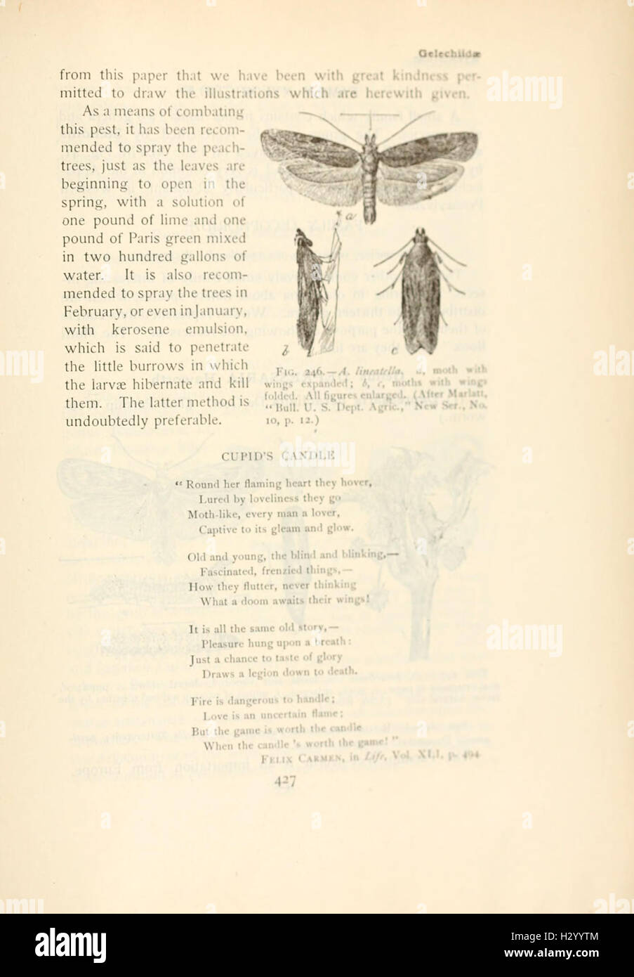 *The Butterfly Book* is a detailed guide to various butterfly species ...