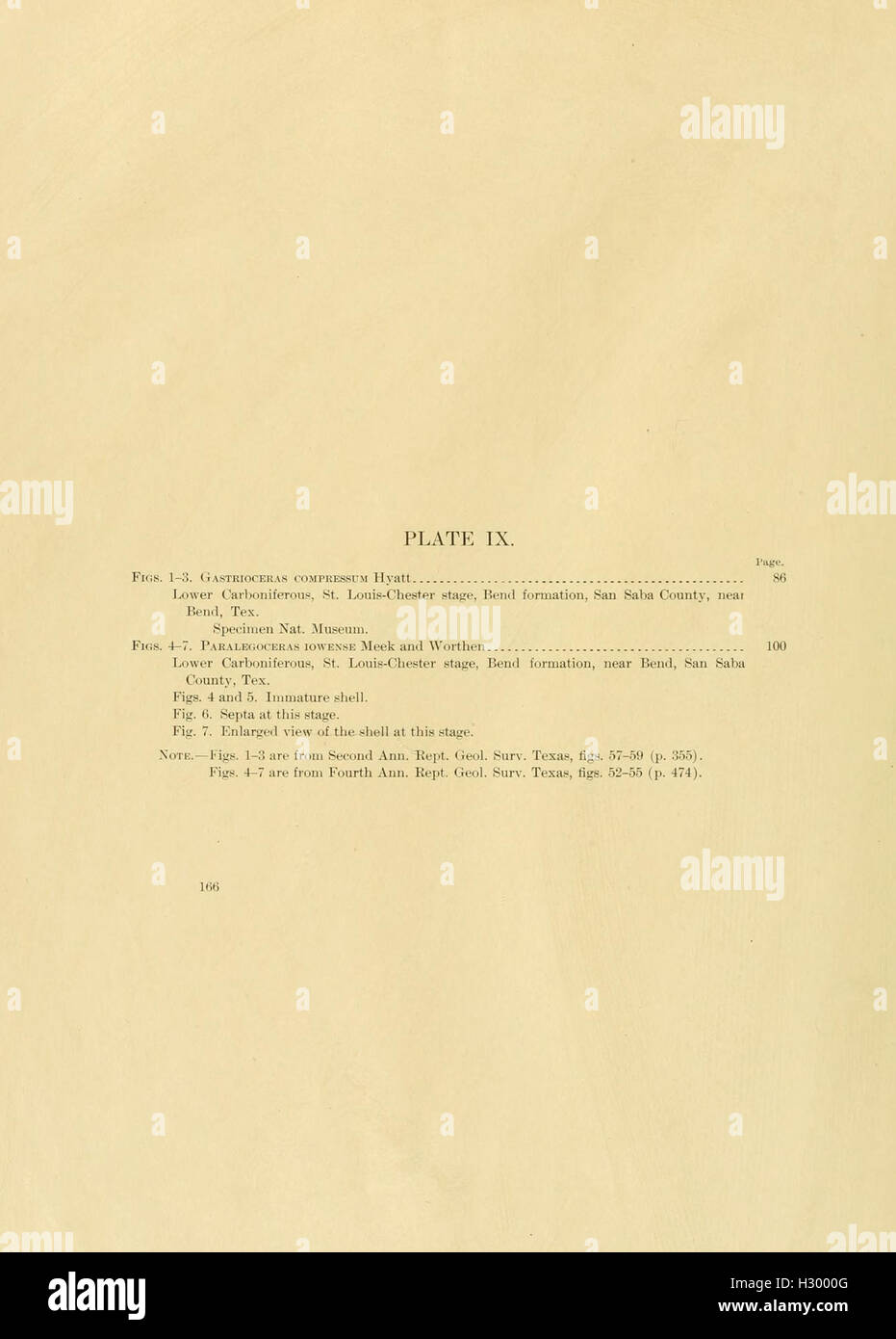 Ammonoids hi-res stock photography and images - Alamy