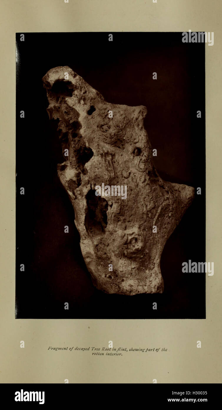 This geological work examines the chalk and flint formations, detailing ...
