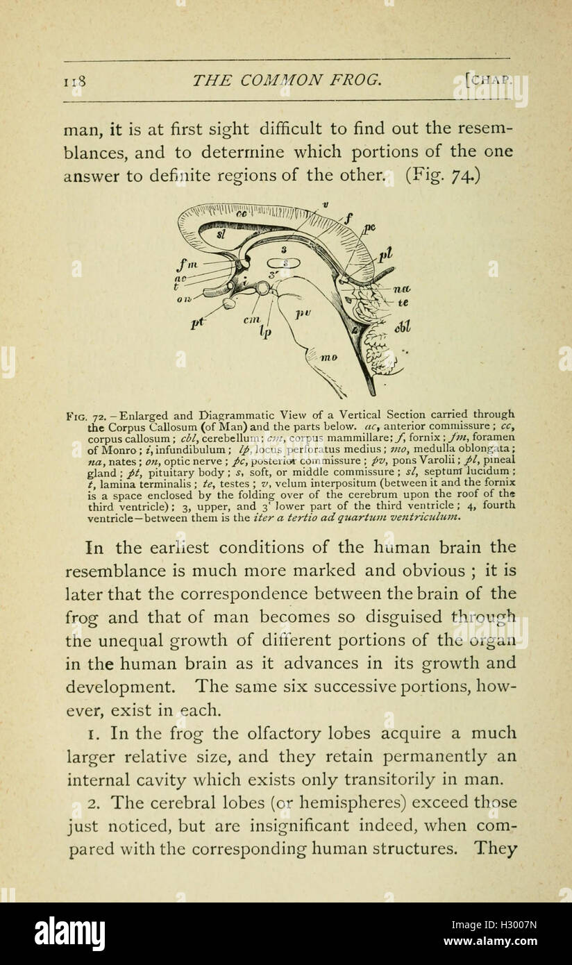 This work provides detailed descriptions and illustrations of the ...