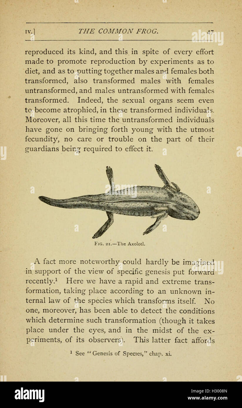 This work focuses on the common frog, providing detailed illustrations ...