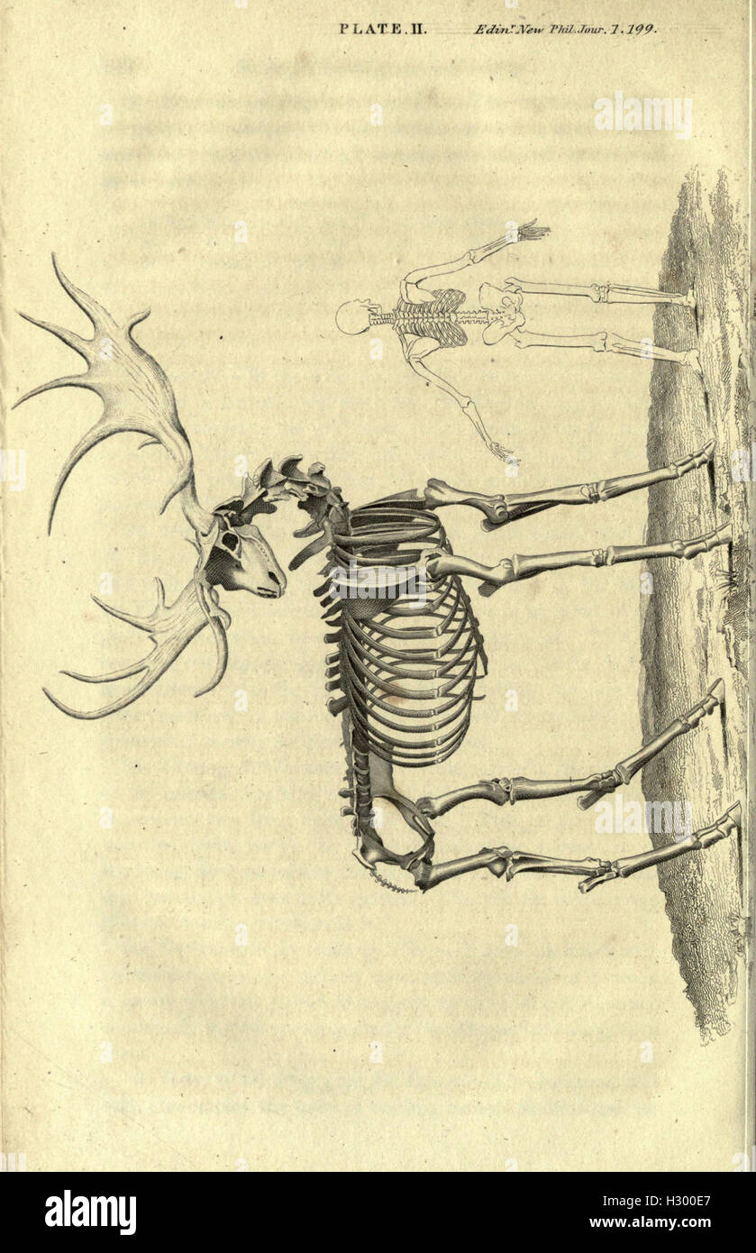 This journal explores various philosophical topics, featuring ...