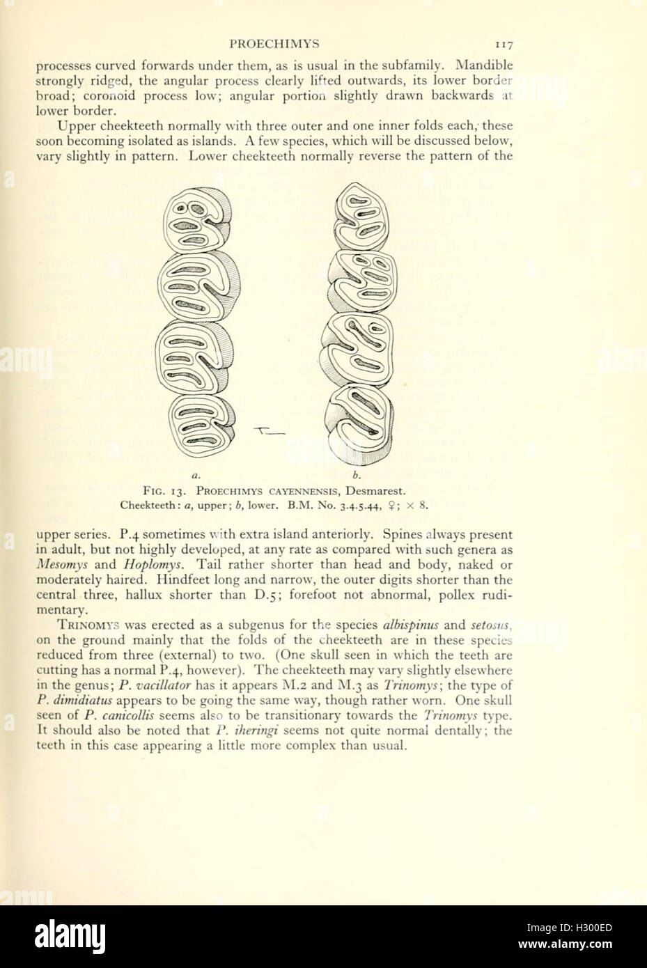 This work provides a detailed classification of living rodent families ...