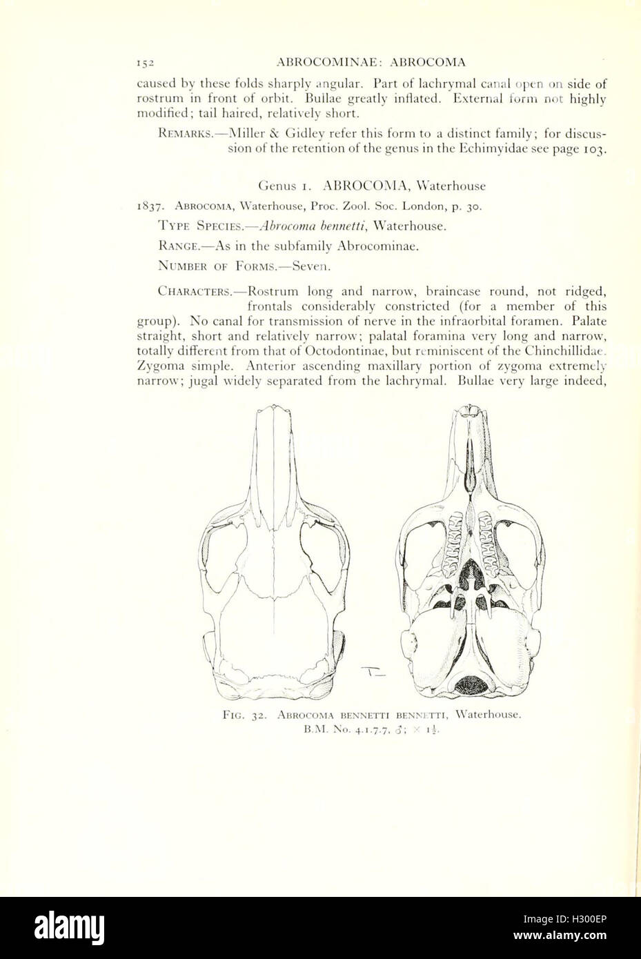 A classification guide for living rodent families and genera, providing ...