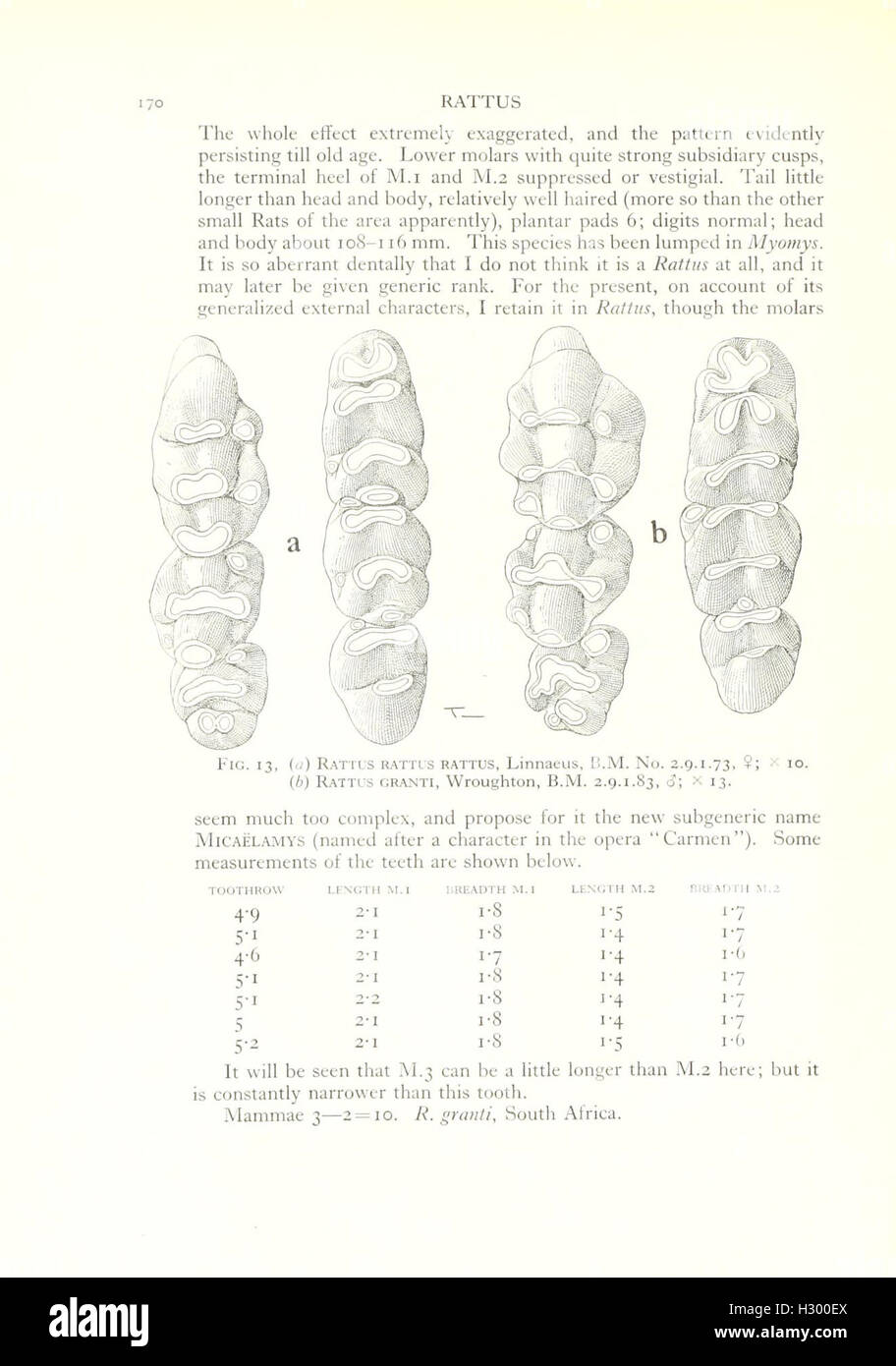 This work provides a classification of living rodent families and ...