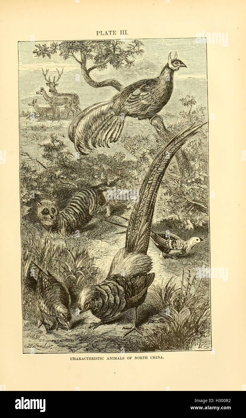 This book focuses on the global distribution of animal species ...