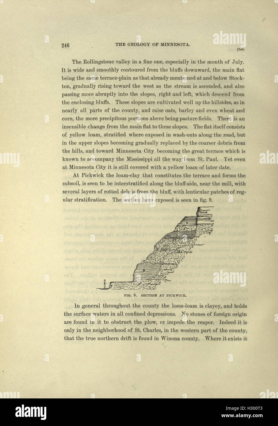 This page from 'The Geology of Minnesota' presents a detailed account ...