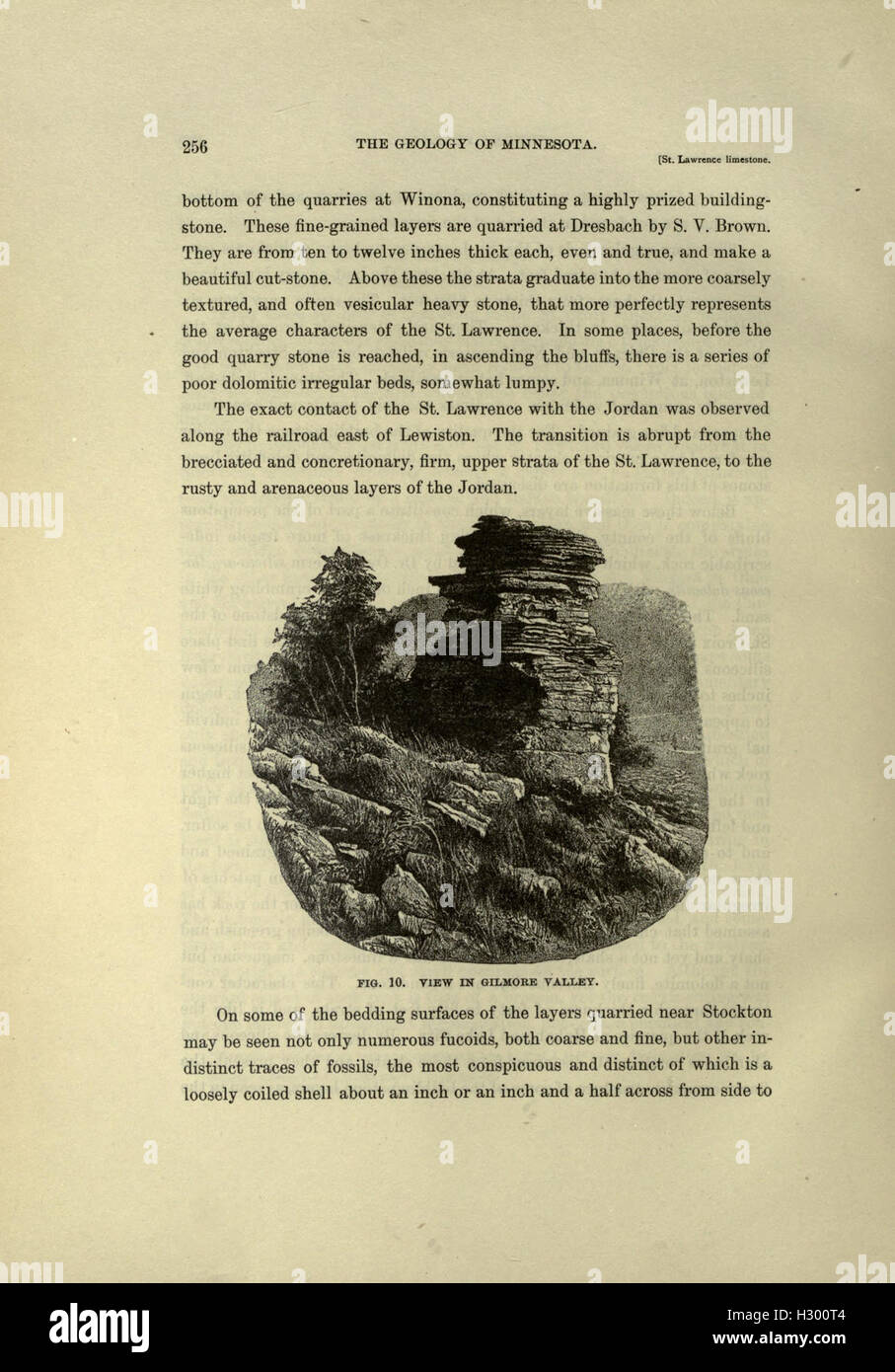 This work explores the geology of Minnesota, detailing the state's rock ...