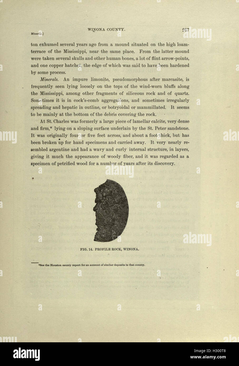 This work examines the geological history of Minnesota, focusing on its ...