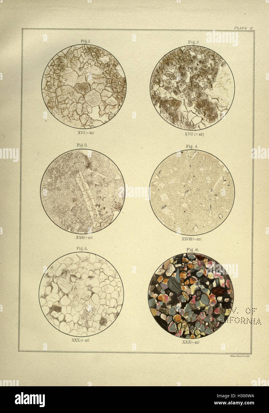 This work provides an overview of the geological features of Minnesota ...