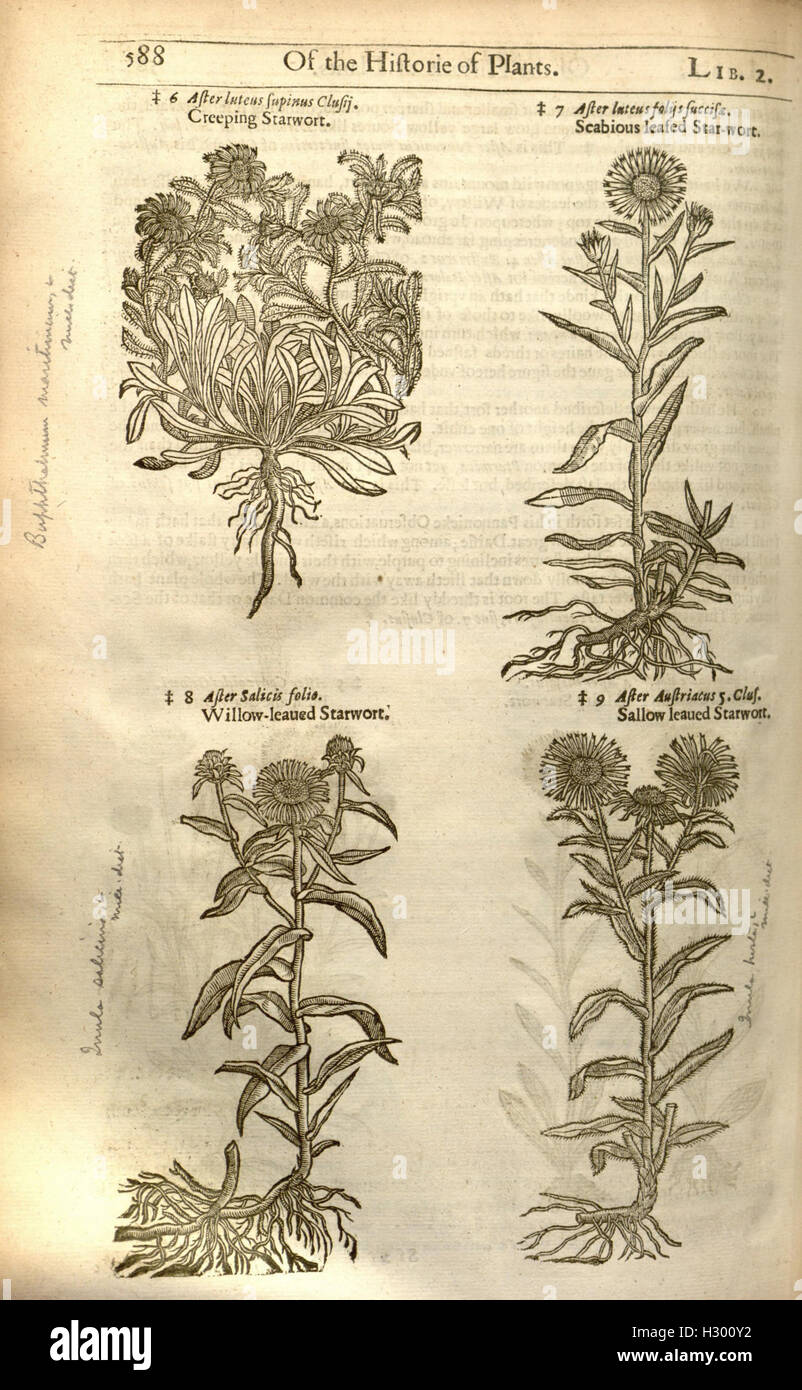 This historic herbal provides a comprehensive overview of plants, with ...