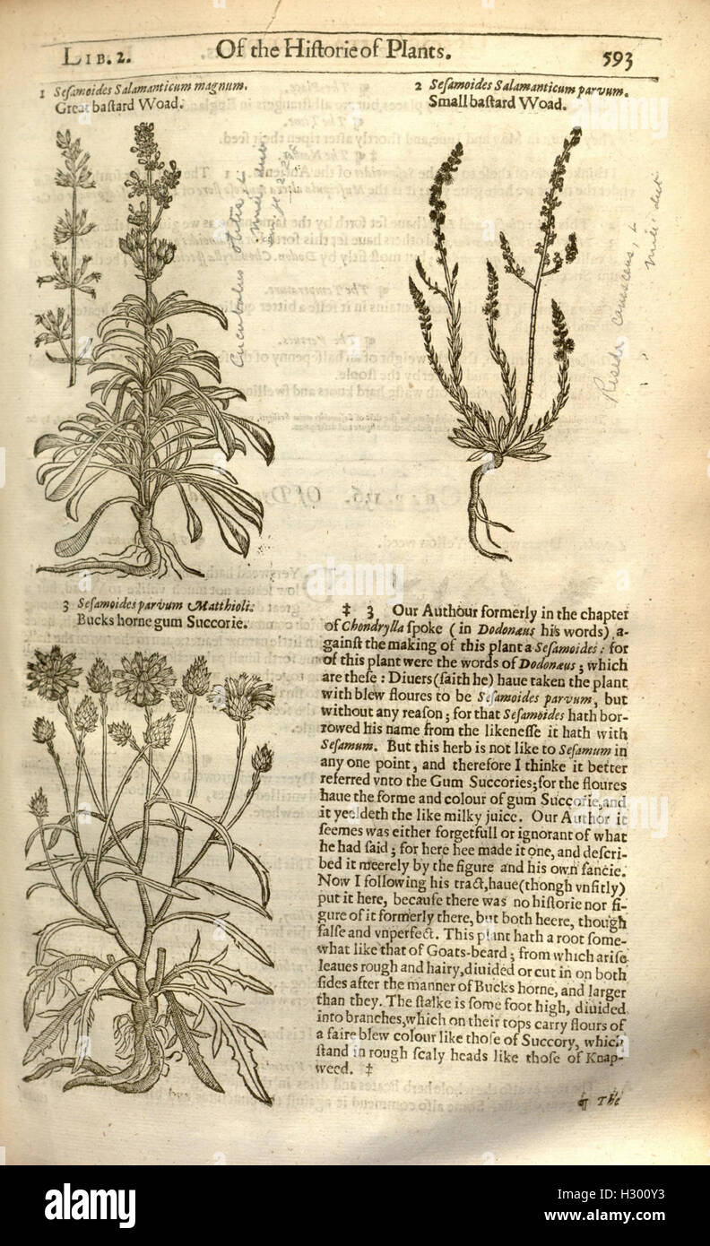 This classic botanical work provides a detailed history of plants ...