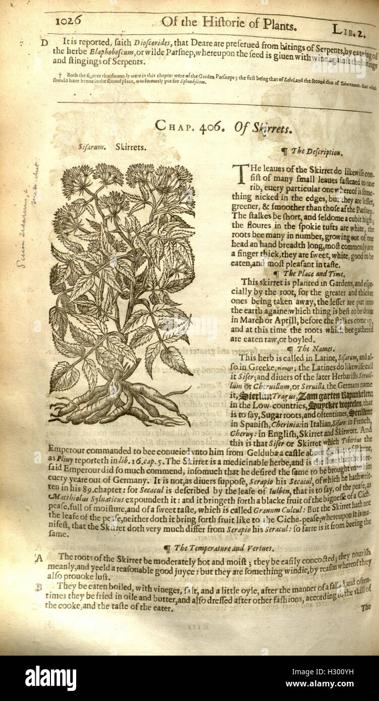 'The Herball' or 'General History of Plants' offers an extensive ...